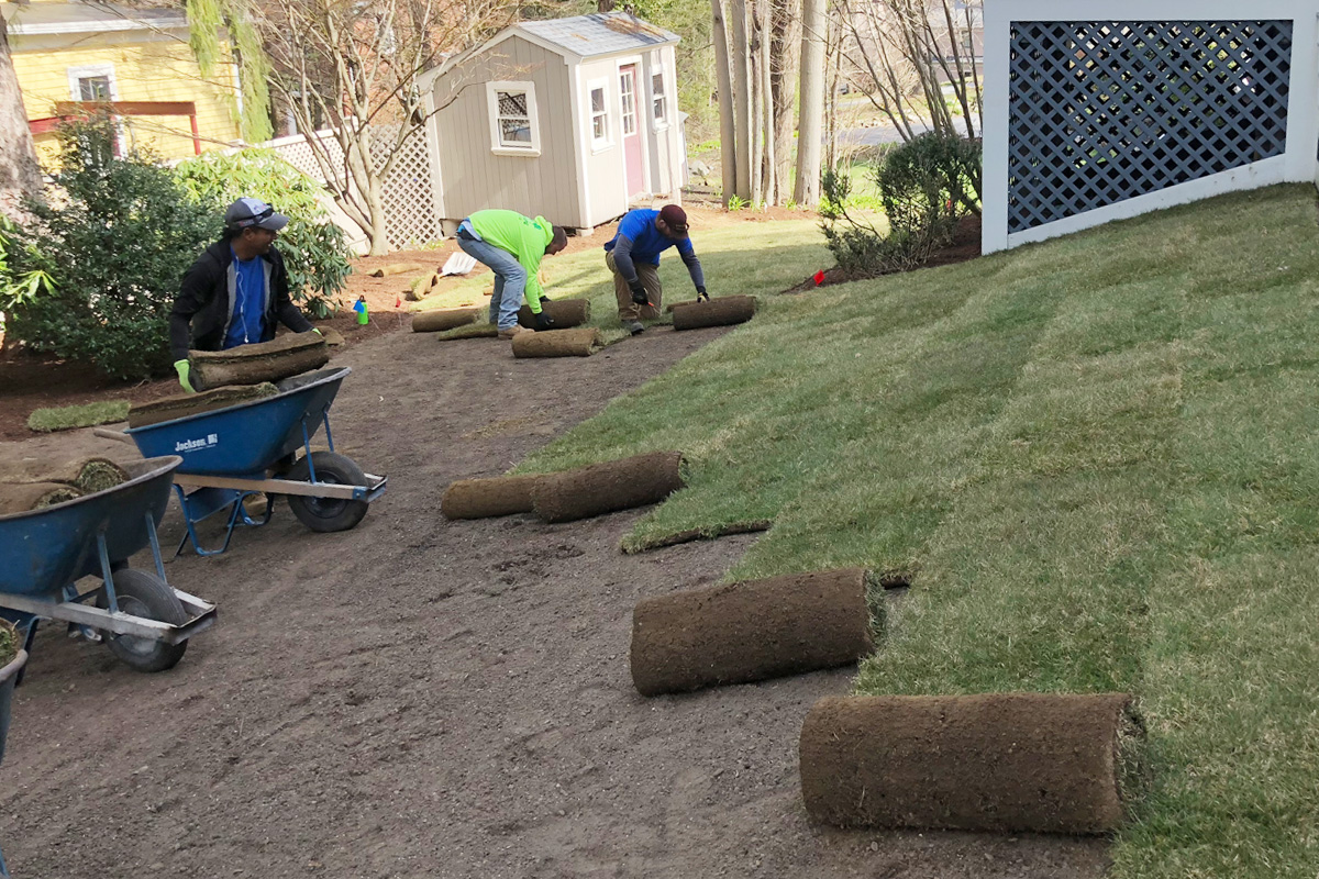 Sod Installation - K&R Landscape
